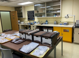 Thin-Sectioning and Microscopy Lab (TSML) - Anthroplogy - Western ...